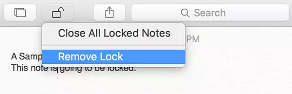 locknotes-usuń