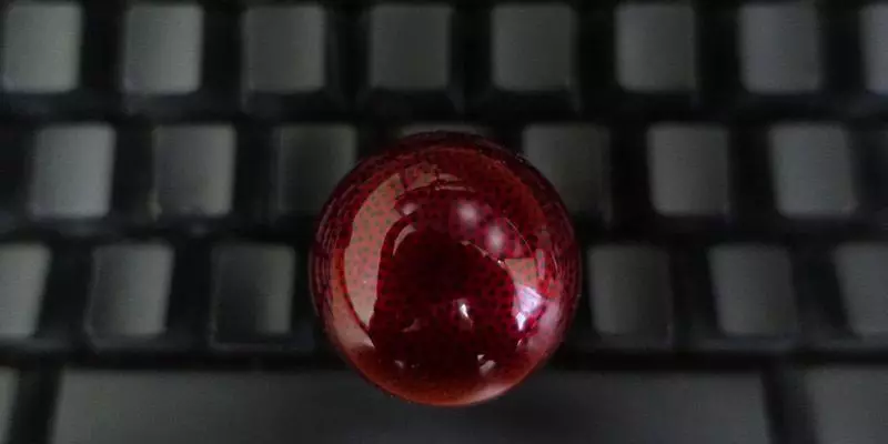 Çima Pêdiviya te bi Mişkek Trackball heye 13028_1