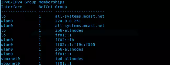 Ubuntu_netstat_multicast_ibisohoka