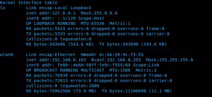 Ubuntu_netstat_interface_ibisohoka