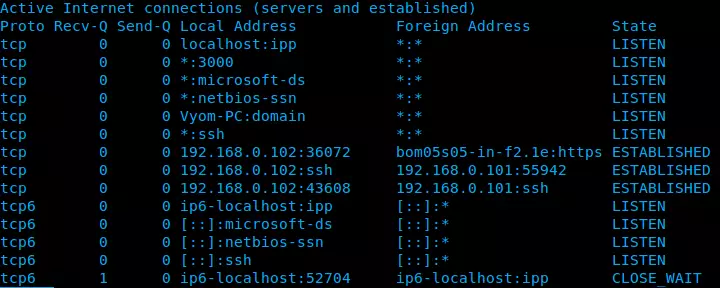 Ubuntu_netstat_tcp_ibisohoka