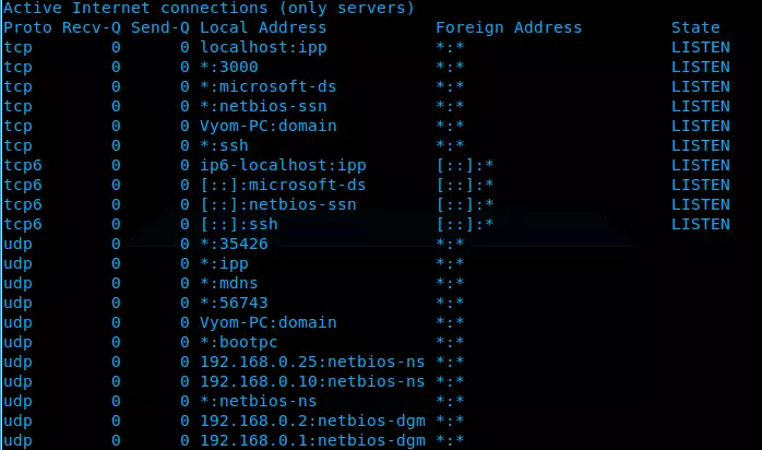 Ubuntu_netstat_list_output