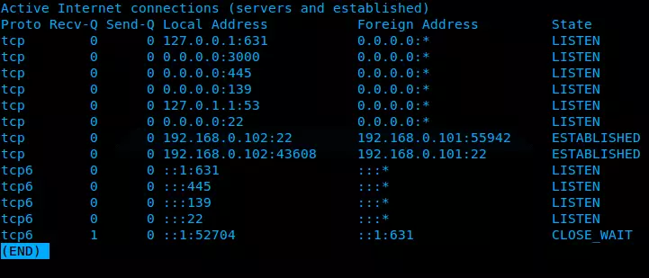 Ubuntu_netstat_dns_output