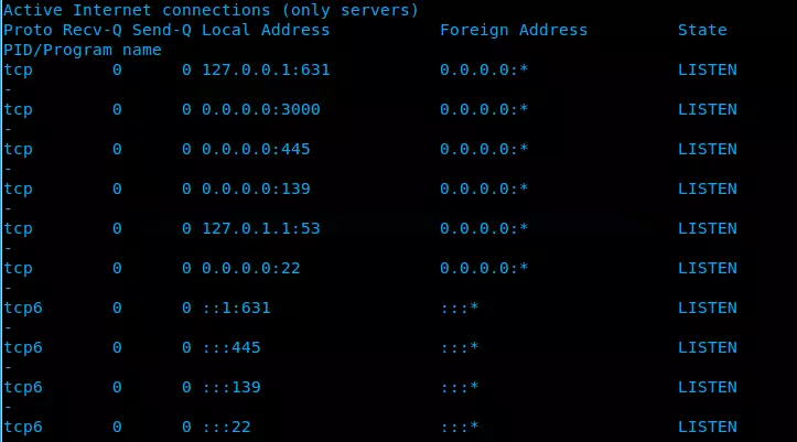 Ubuntu_netstat_process_details_output