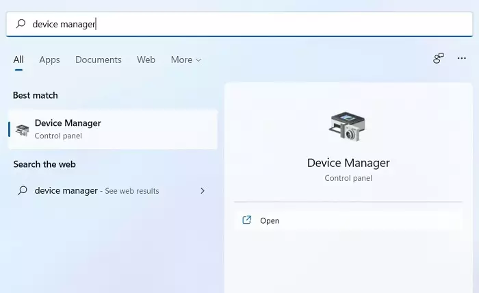 Error sa Kritikal na Proseso I-update ang Device Manager Windows11