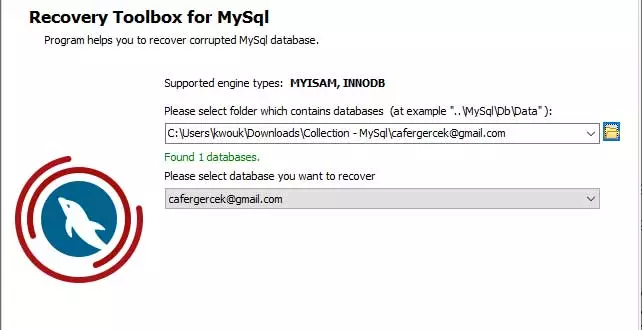 Casella degli strumenti di recupero per la revisione di MySQL Scegli il database